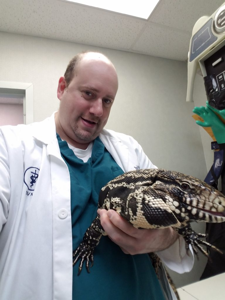 Veterinary Medicine During The COVID-19 Pandemic﻿ - Gecko Time