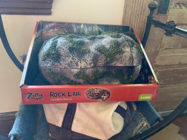 Review of Zilla Rock Lair and Waterfall - Gecko Time