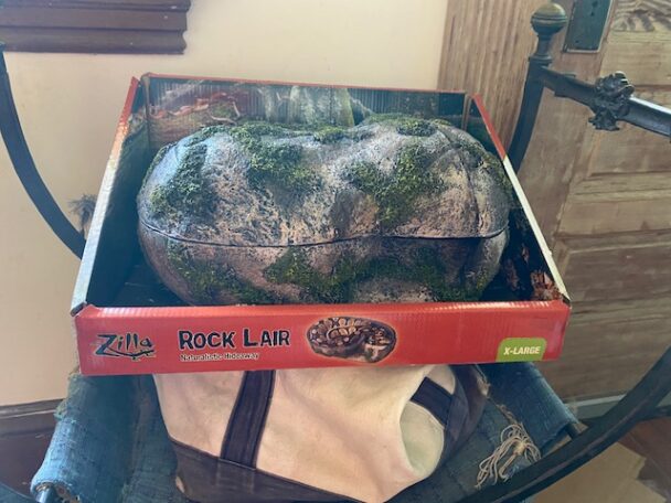 Review of Zilla Rock Lair and Waterfall - Gecko Time