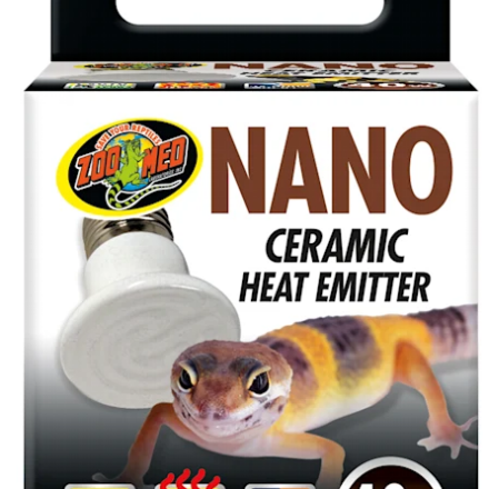 What to do when your pet gecko is shedding - Gecko Time